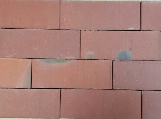 Jacksonville Red | Alfagres